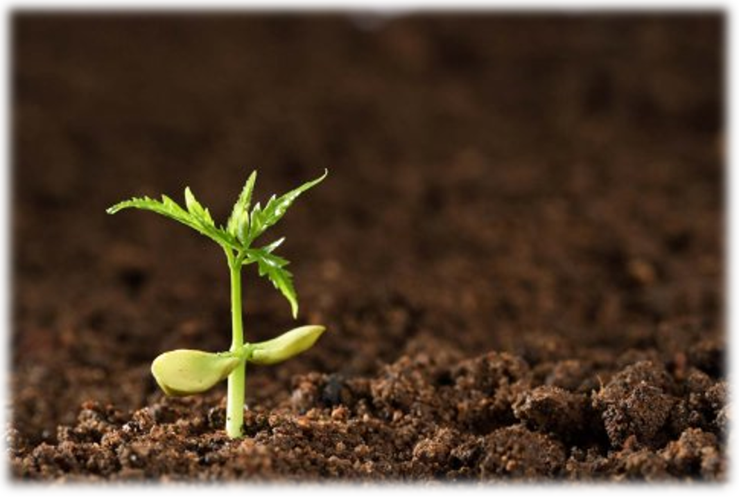 Open To Receive The Seed | God Speaking