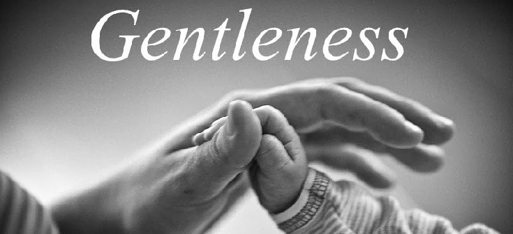 A Spirit Of Gentleness | God Speaking